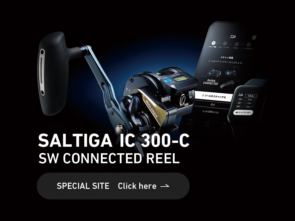 ソルティガ IC 300-C(リール)｜DAIWA