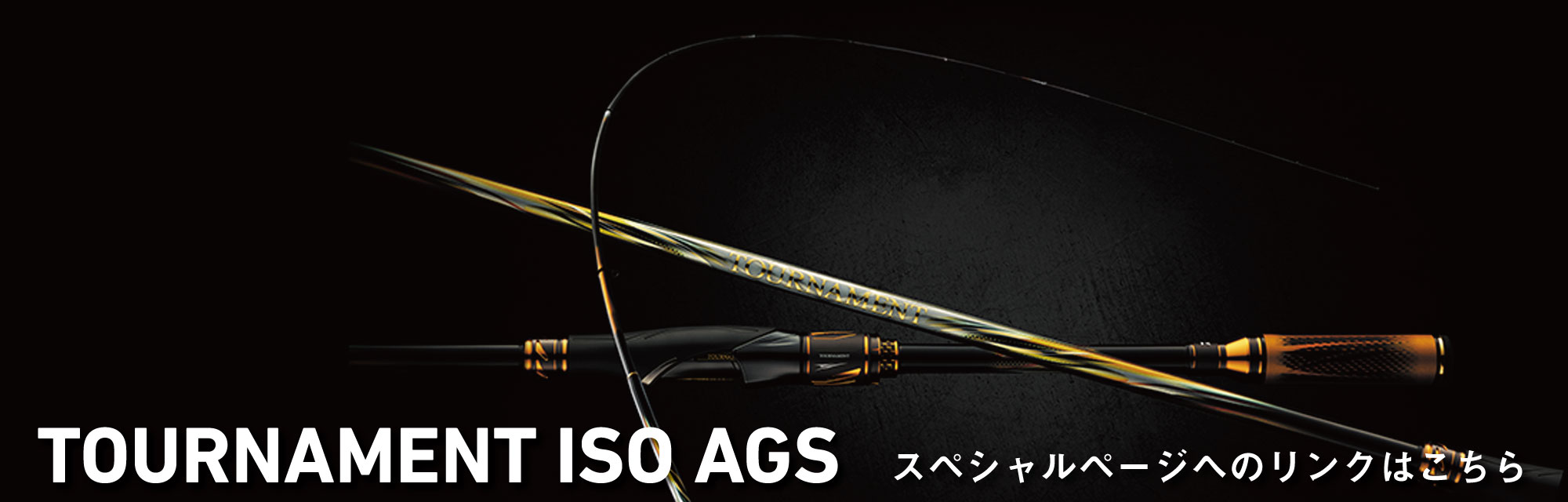 トーナメント ISO AGS(ロッド)｜DAIWA