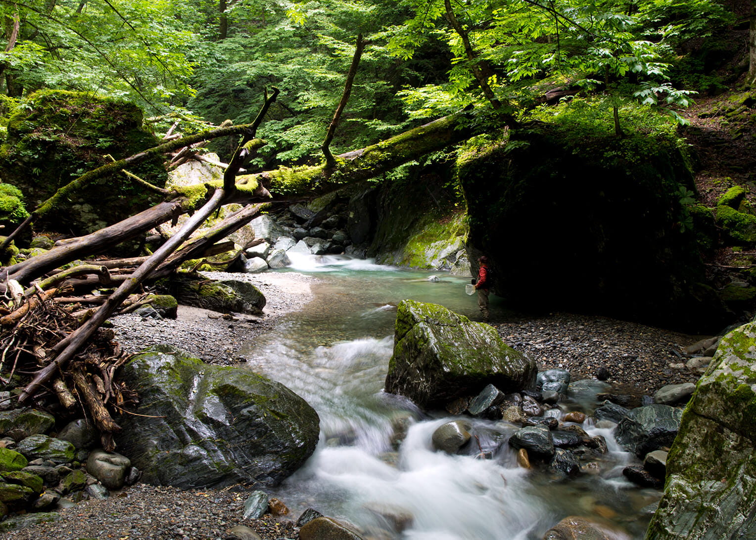 Live with Nature