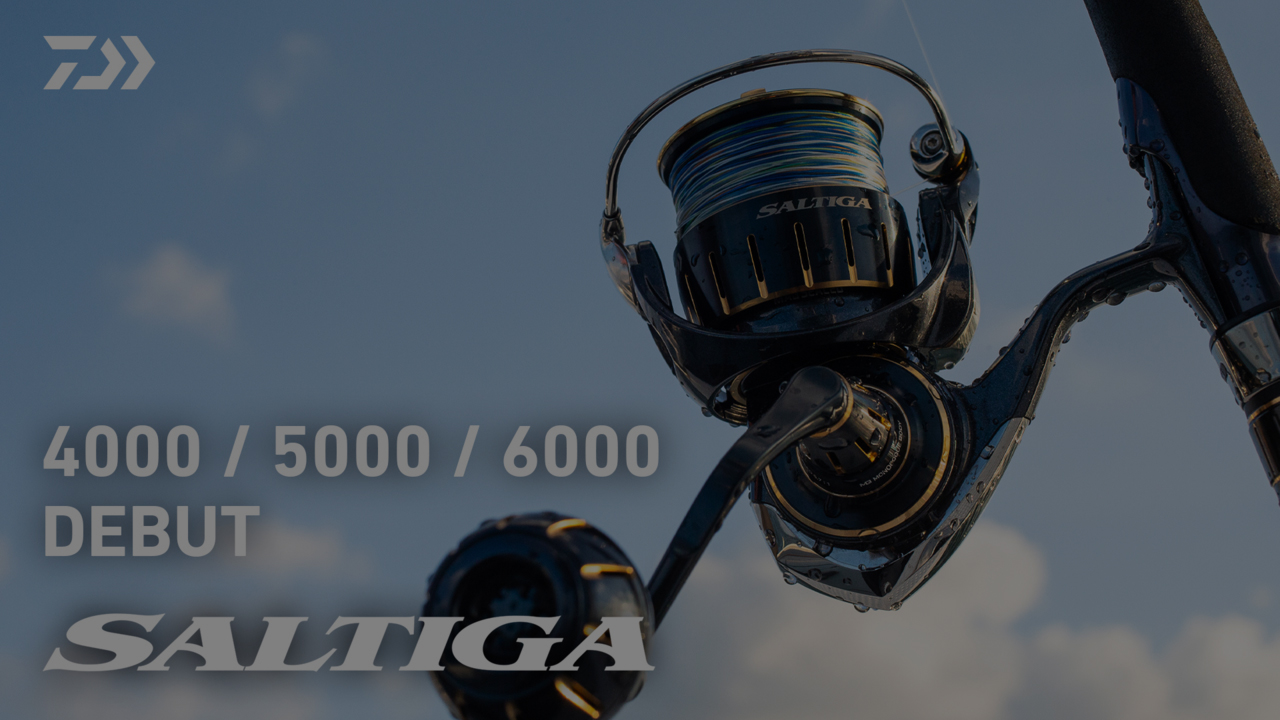 23 SALTIGA 4000/5000/6000｜DAIWA